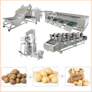 Automatic Potato Washing Cleaning Grading Packing Processing Line