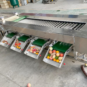 Achieve Precision Potato Size Sorting Machine