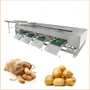 Achieve Precision Potato Size Sorting Machine