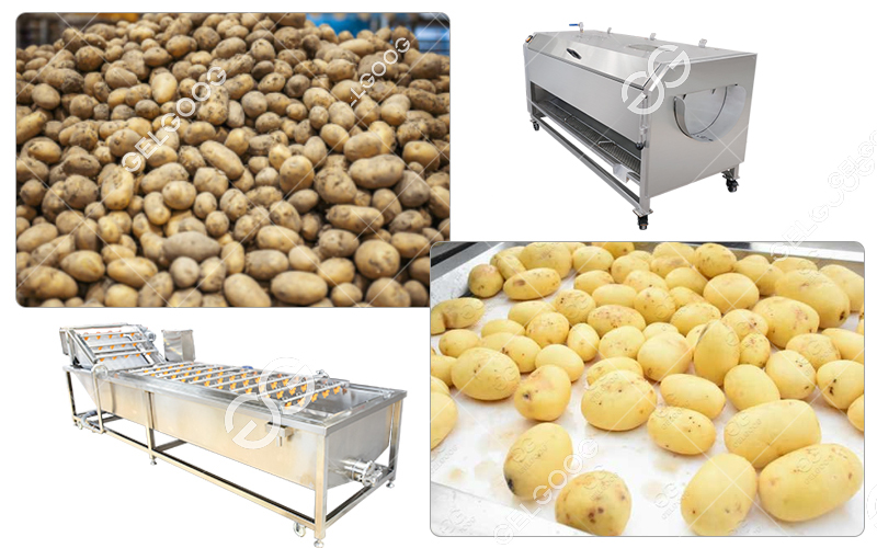 Automatic Potato Washing Cleaning Equipment For Sale