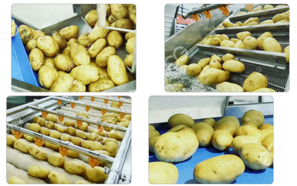 Commercial Bubble Potato Washing Machine For Sale 500KG/H