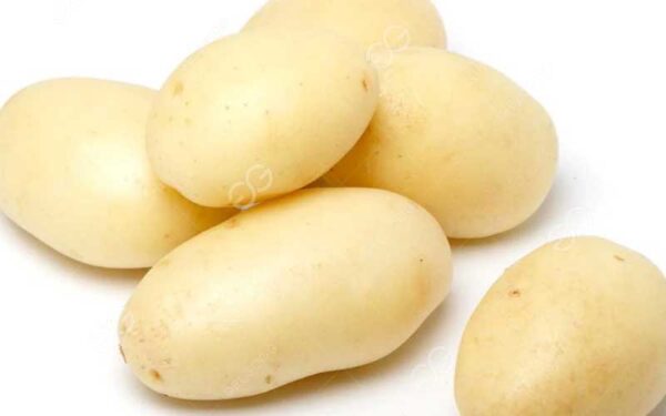 What Machine Do You Use to Clean Potatoes?