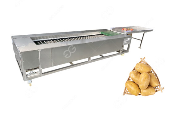 The Rise of Potato Sorting System - Potato Process Machines Supplier