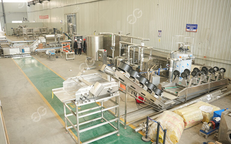 Potato Processing Equipment Manufacturers-Providing A Full Range of ...